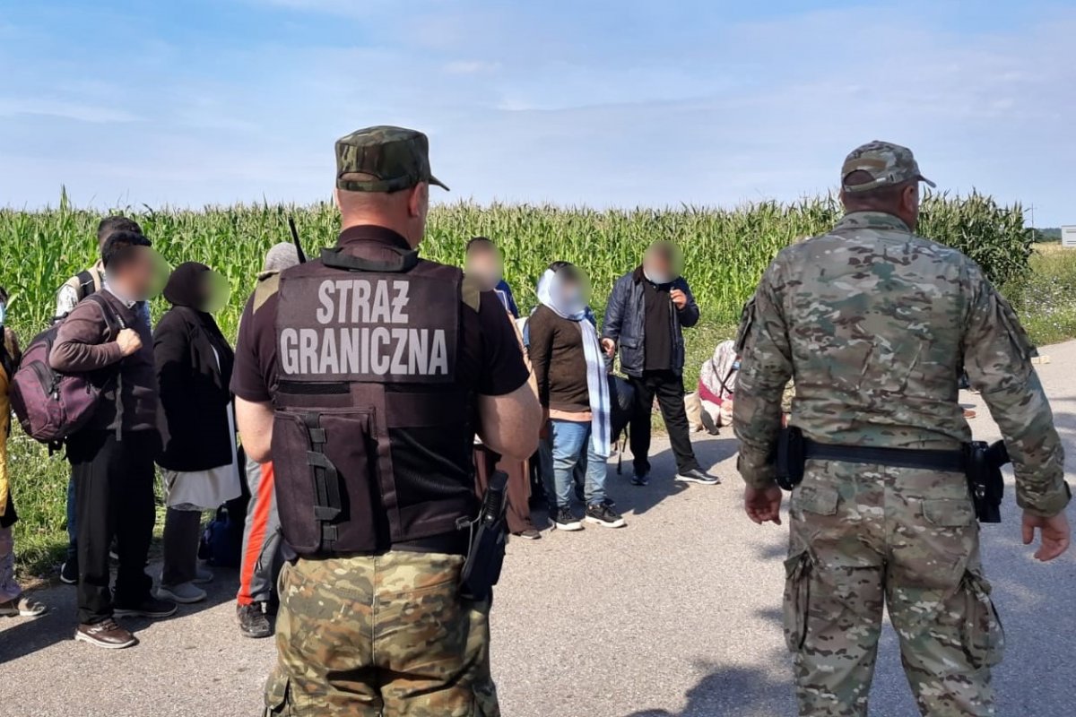Kolejni cudzoziemcy zatrzymani na polsko-białoruskiej granicy ... Kolejni cudzoziemcy zatrzymani na polsko-białoruskiej granicy ...