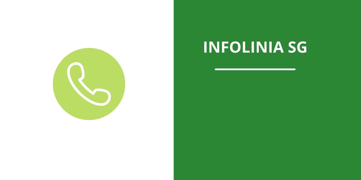 Infolinia SG/BG Helpline - Informacje dla podróżnych Komenda Główna ...